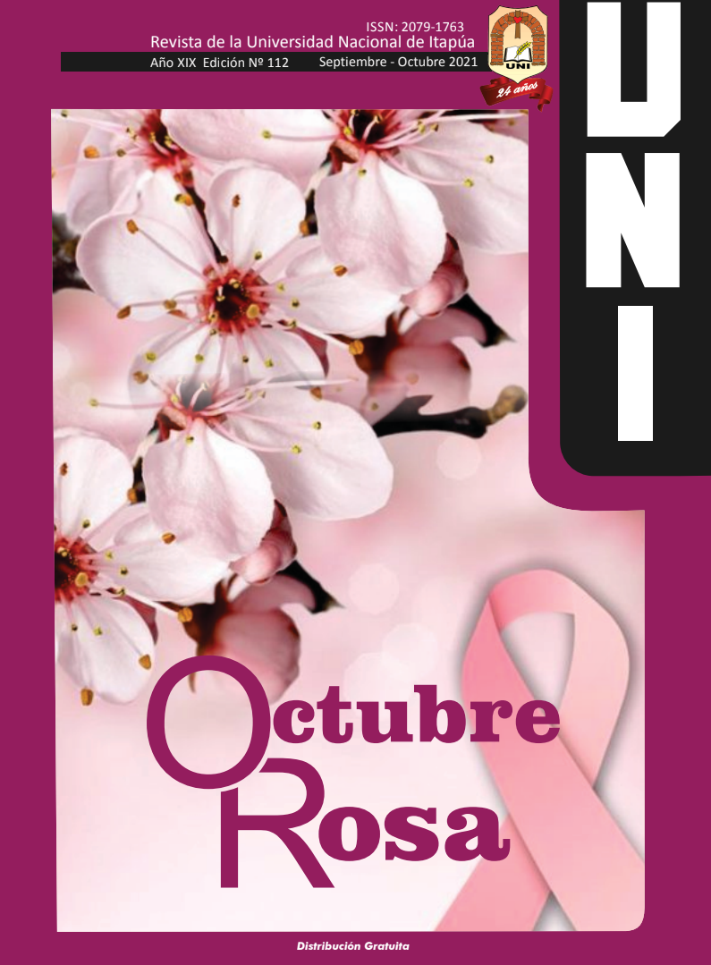 Revistas Informativas UNI - Universidad Nacional de Itapúa